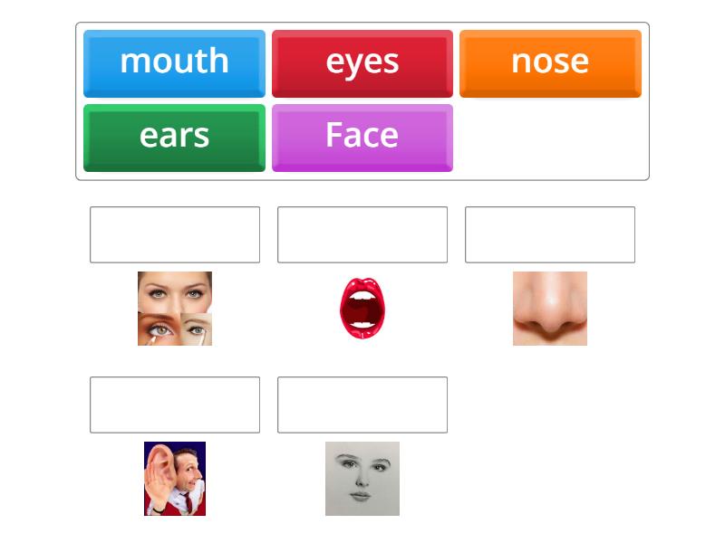parts of the body-face - Match up