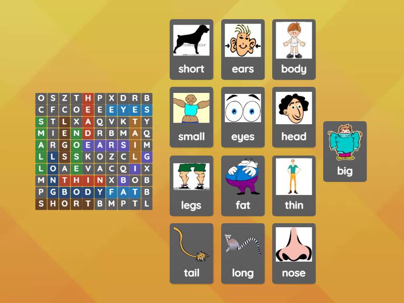 Spotlight Module 5 Unit 9a - Wordsearch