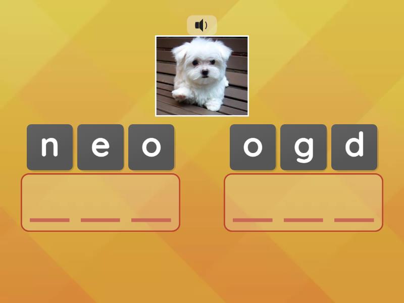 Unusual pets. - Anagram