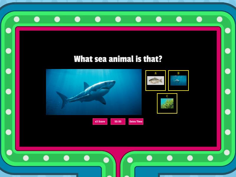 sea animals - Gameshow quiz