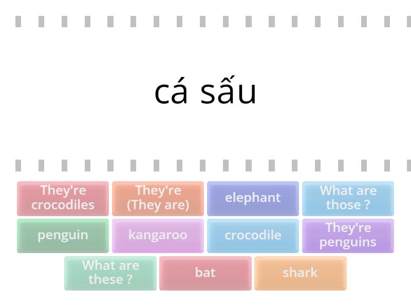 SS4, Unit 1, Lesson 3 - Find the match