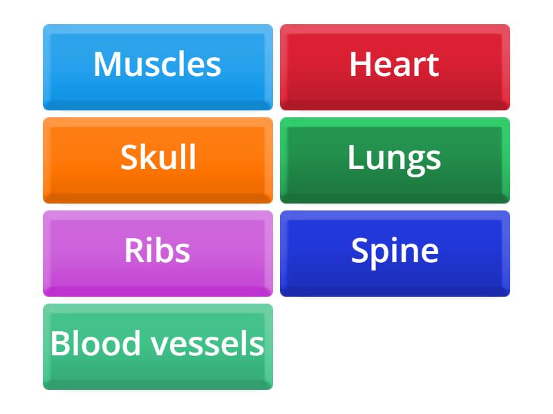 Organ functions - Flip tiles