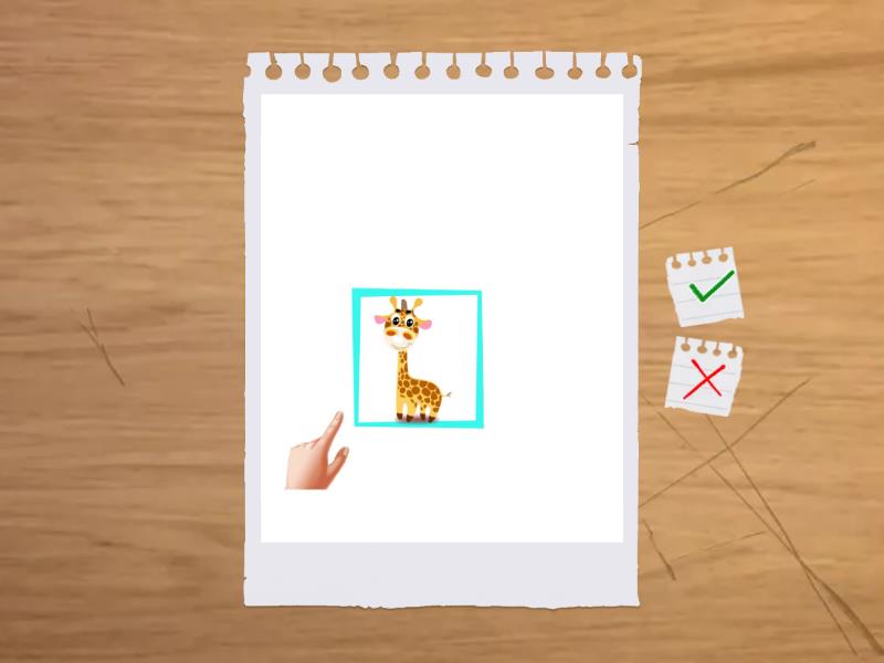 SM2 U5 Demonstrative pronouns - Flash cards