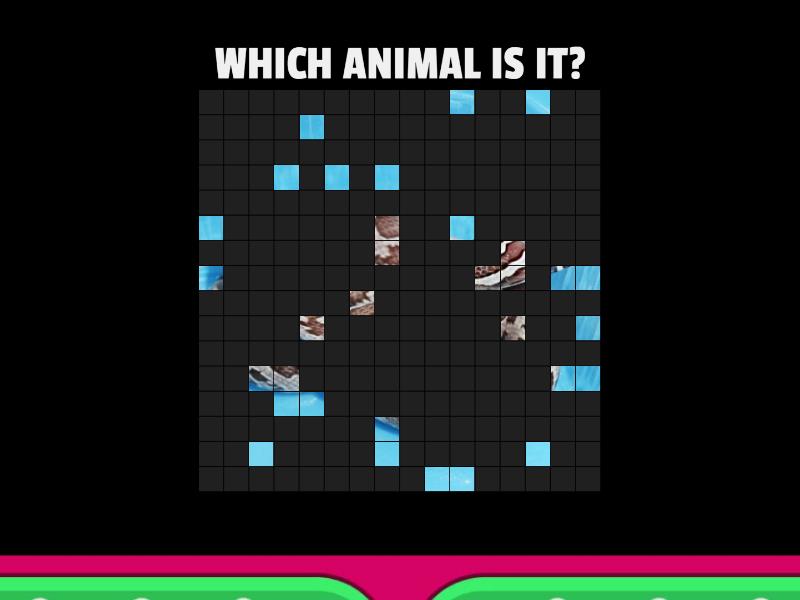 GUESS THE ANIMAL - Image quiz