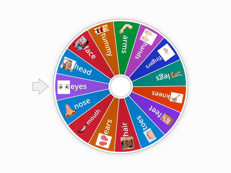 unit 3 Parts of the body - Spin the wheel