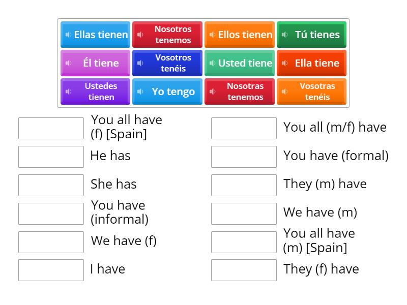 El verbo TENER (To have) - Match up