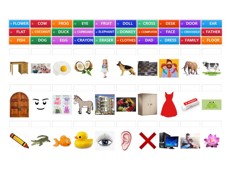 Vocabulary Pre A1 starters Part 2 - Match up