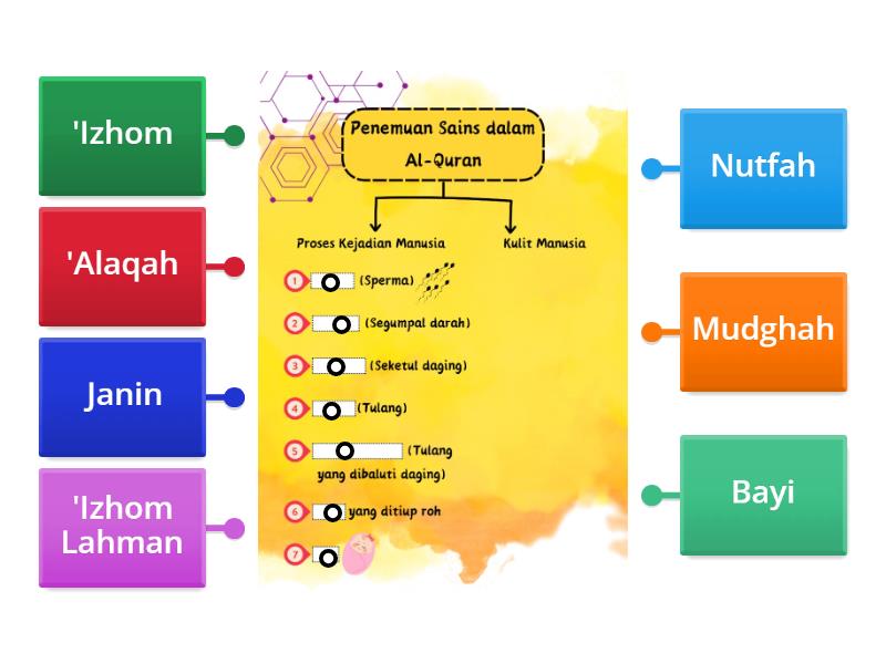 Latihan Interaktif 4A - Labelled diagram