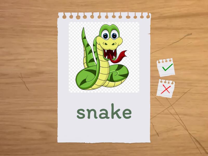 AS 2 unit 5 - Flash cards