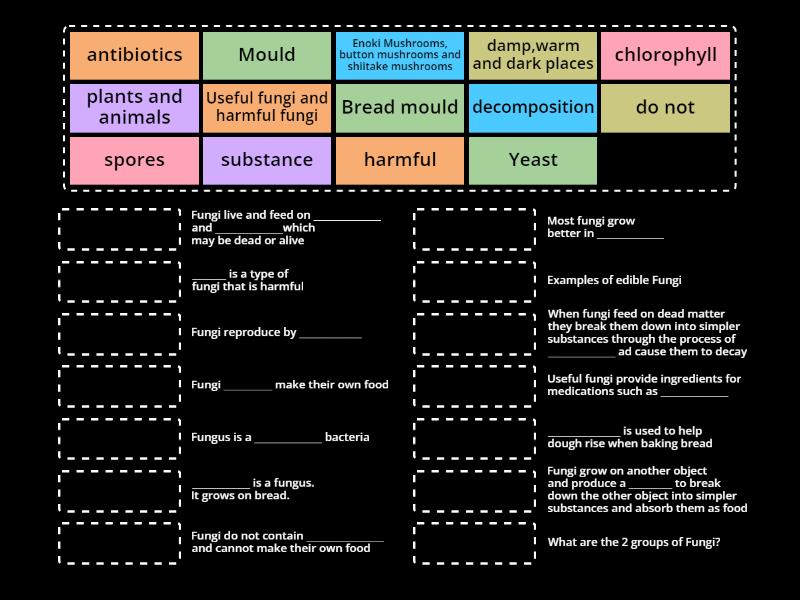 P3 Science Revision - Fungi - Match up