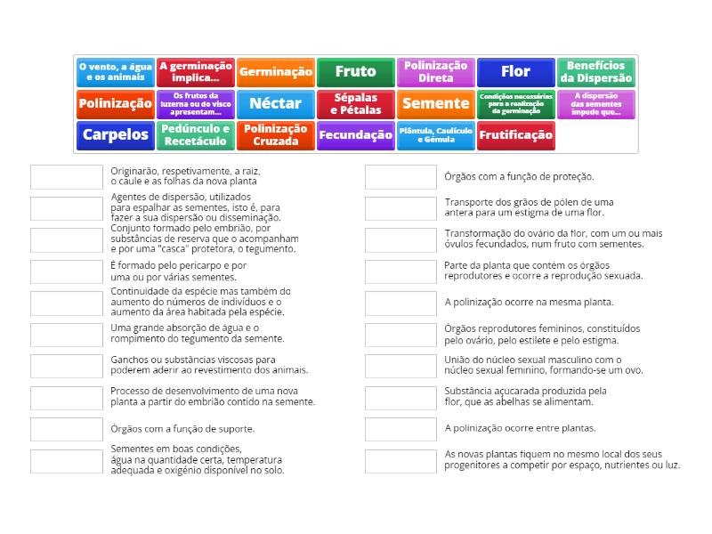 Reproduzação nas Plantas - Associação