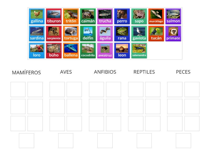 Tipos animales - Group sort