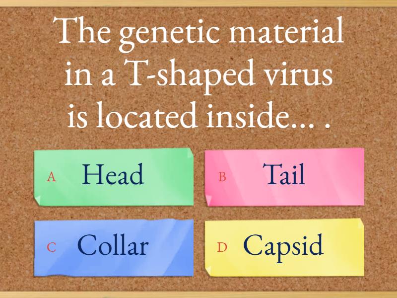 Viruses - Quiz