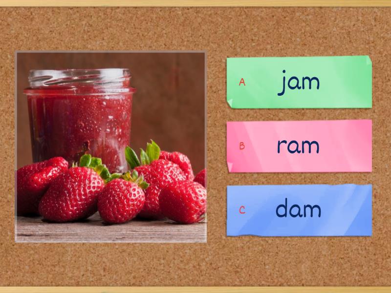 Phonics lesson 1 short vowels a - Quiz