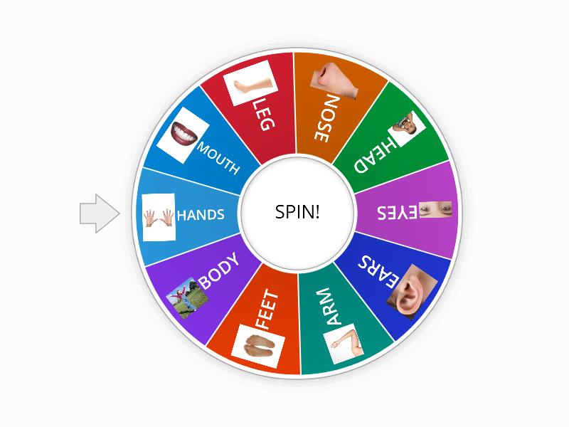 PARTS OF THE BODY WHEEL - Spin the wheel