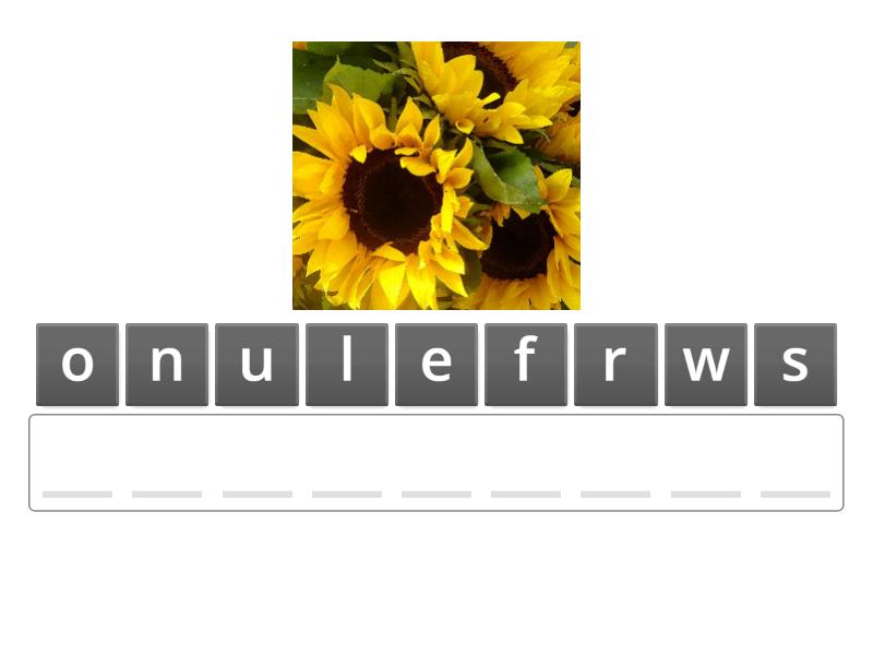 Flowers for primary learners - Anagram