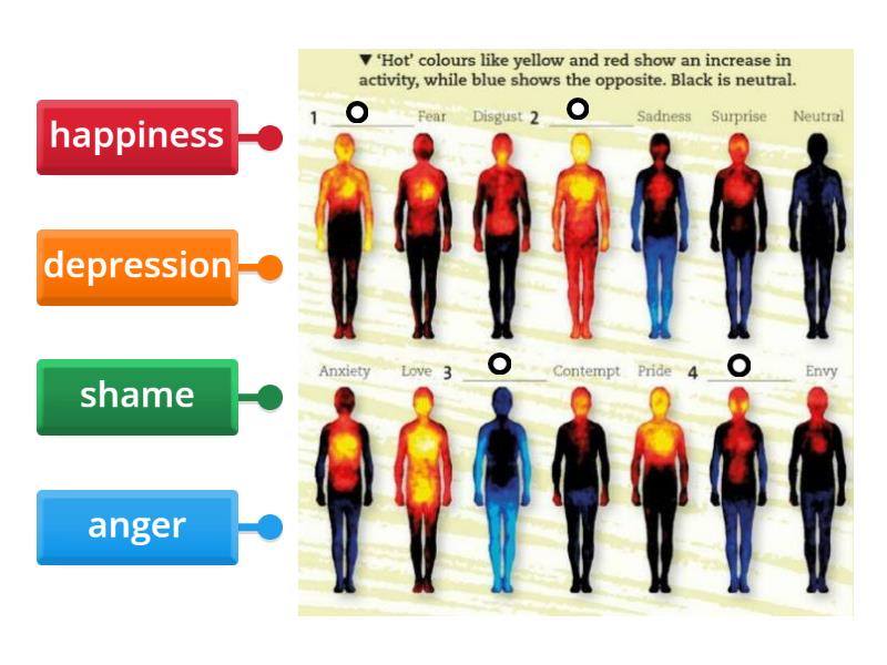 Feelings - B1 - Labelled diagram