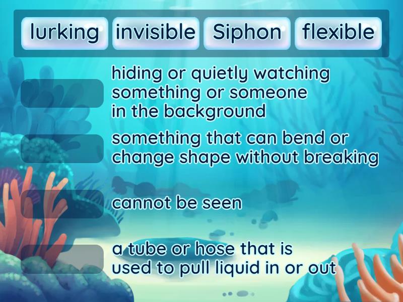 Octopus Escapes Again Vocab - Match up