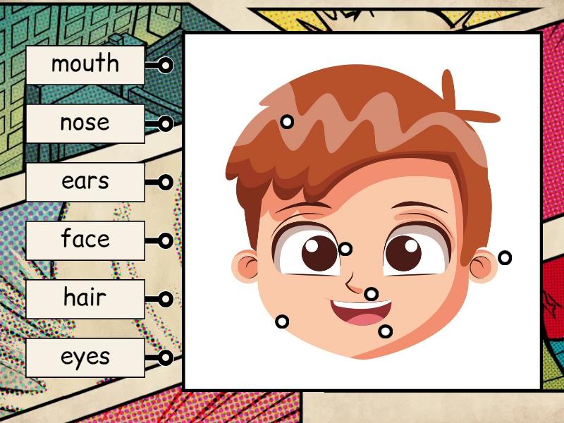 My Face - Labelled diagram