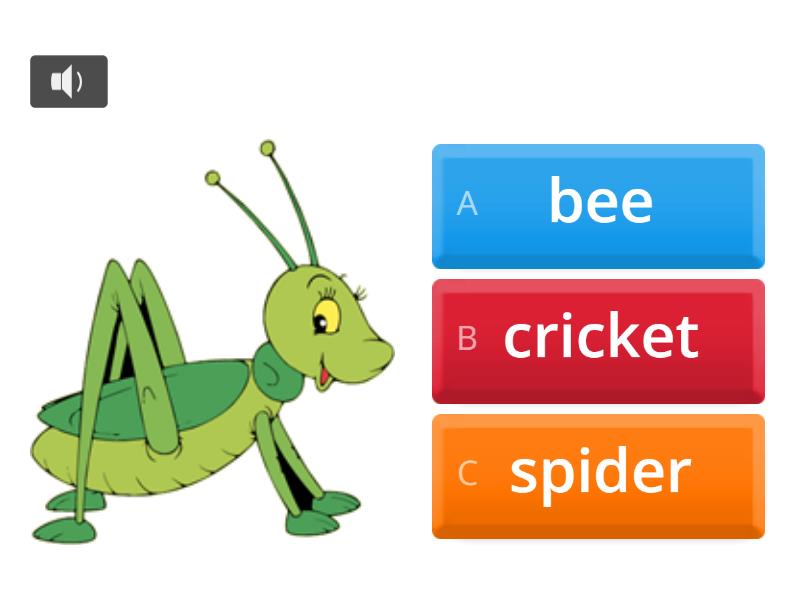 bugs - Quiz