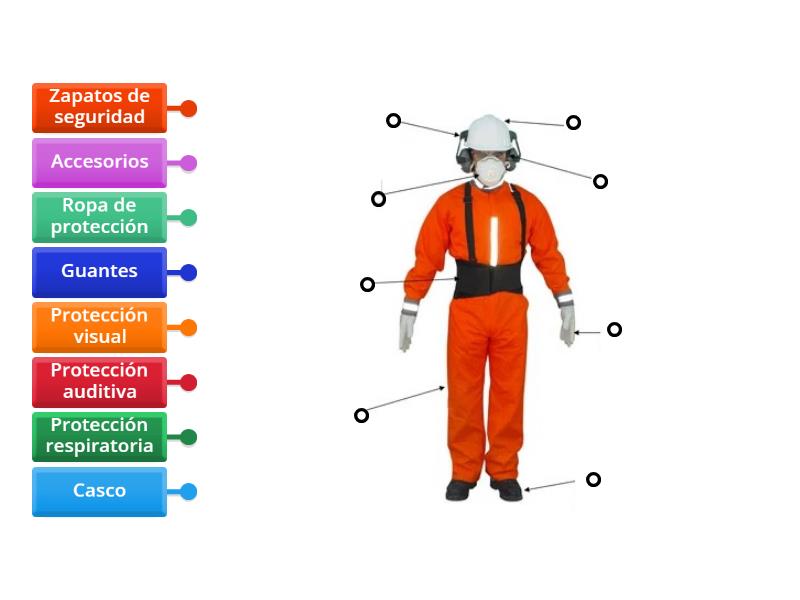 EPP - Labelled diagram