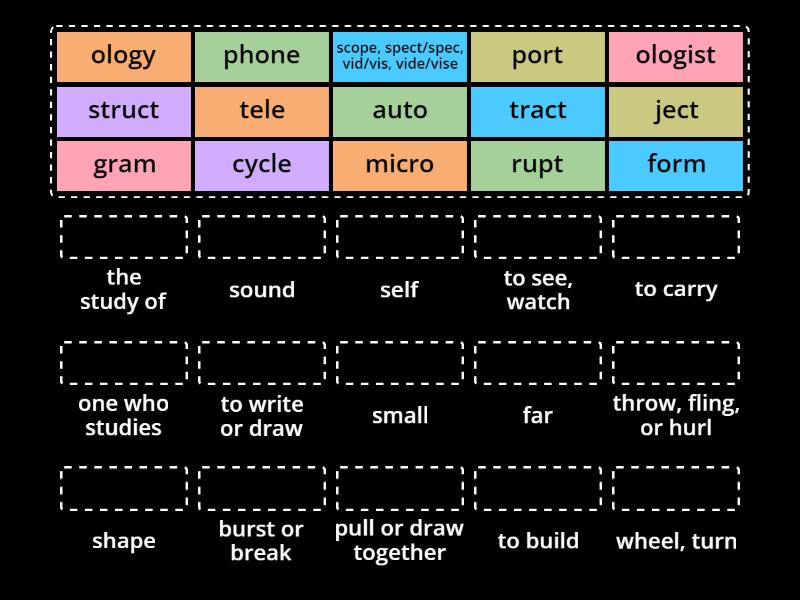 Morphology- Structures 1 - Match up