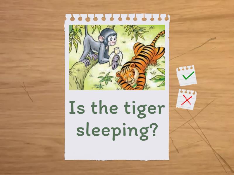 LOOK AND ANSWER - Flash cards