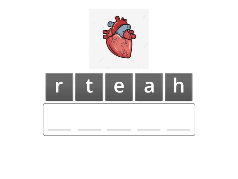 Science Body Systems Vocabulary - Anagrama