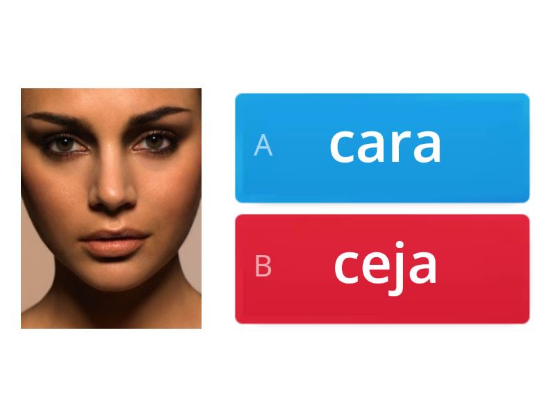 LAS PARTES DE LA CARA - Quiz