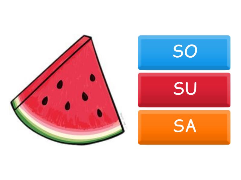 SA SE SI SO SU - Quiz