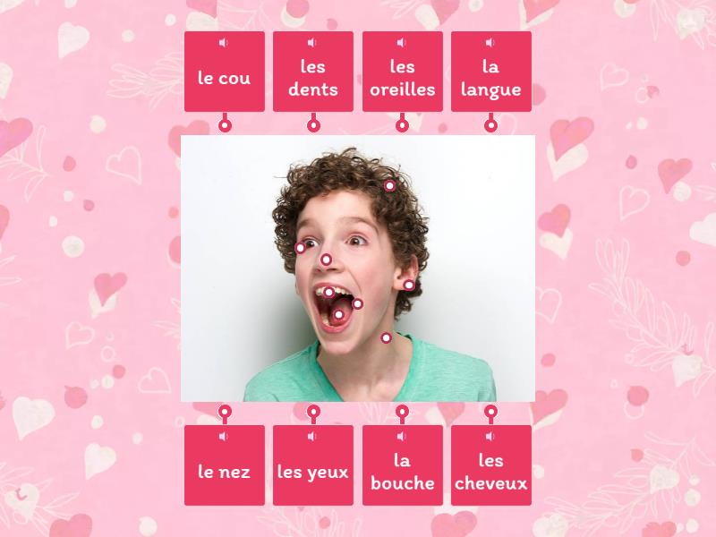 Les parties du visage - Labelled diagram