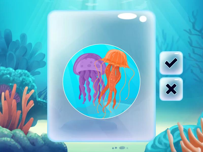 GESE Level 2 Lesson 12 Game 1 - Sea Animals (Flashcards) - Flash cards