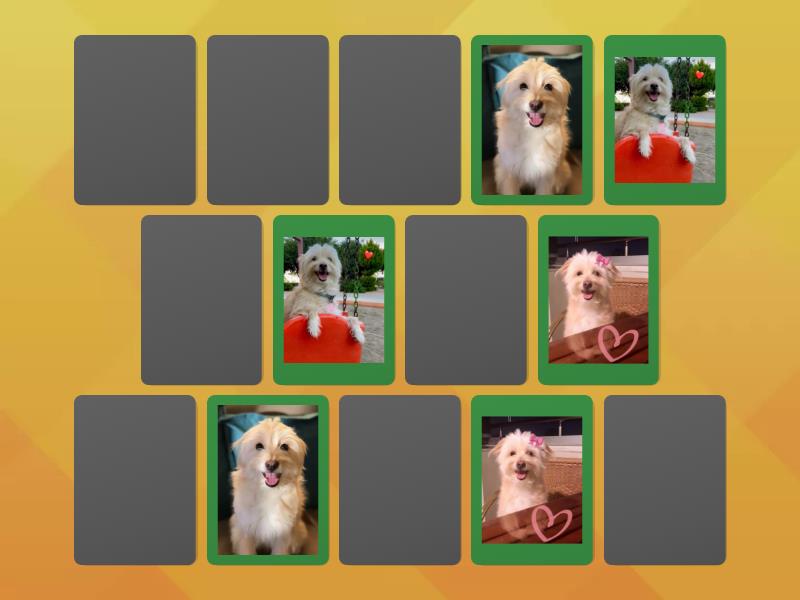Dogs Game - Matching pairs