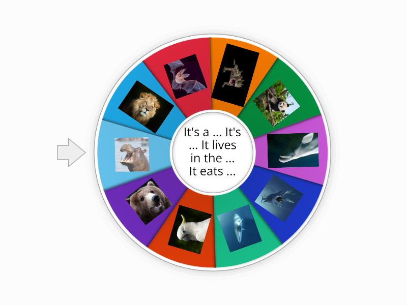 KB3 unit 7 Describe an animal - Random wheel