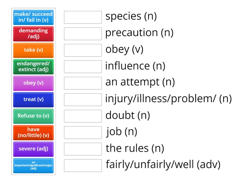 Week 4 Collocation game - Match up