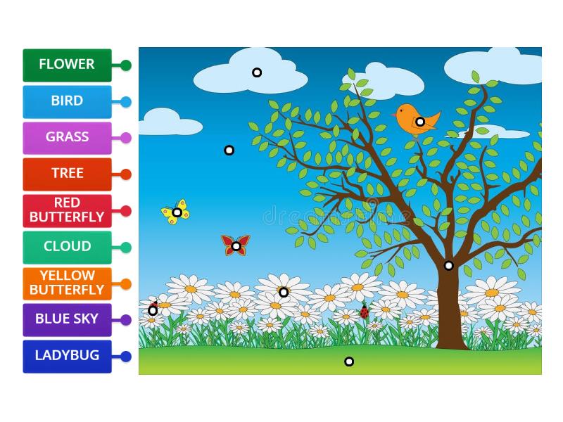 SPRING - Labelled diagram