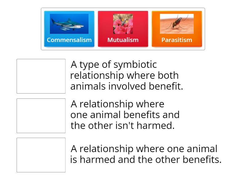 Symbiotic relationships. - Match up