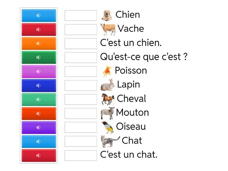 Les animaux - A l'oral - CE2/CM1 - Match up