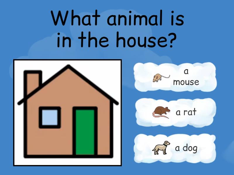 A mouse in my house by Martin Pierce Comprehension - Quiz