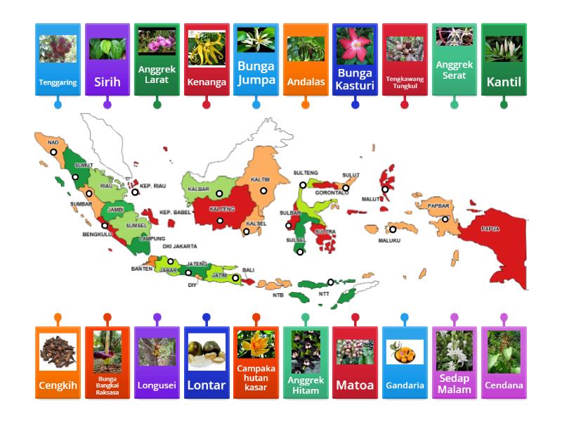 Flora di Indonesia - Labelled diagram