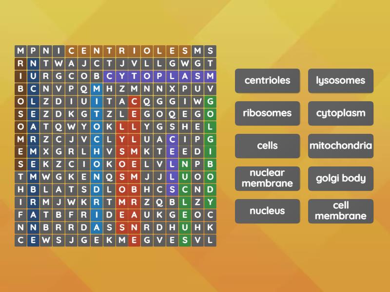 Animal cell organelles - Sopa de letras