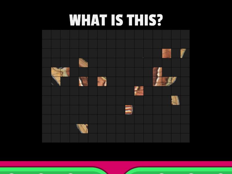 WHAT IS THIS? - Image quiz