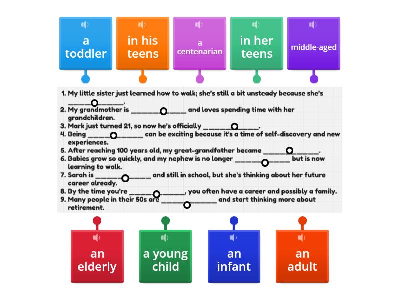Solutions Intermediate 1A Life stages Diagram - Labelled diagram