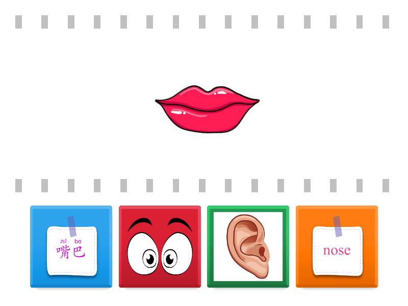 Body Parts - Find the match