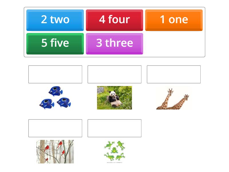 Numeracy- Number concepts - Match up