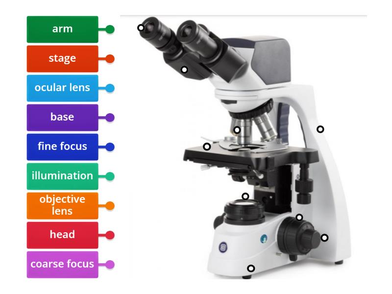 Unit 5: The Microscope - Labelled diagram
