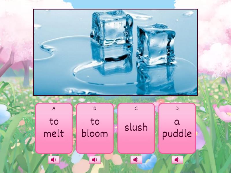 Spring 3 - Quiz