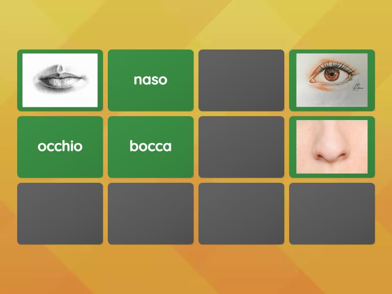 le parti del viso - Matching pairs