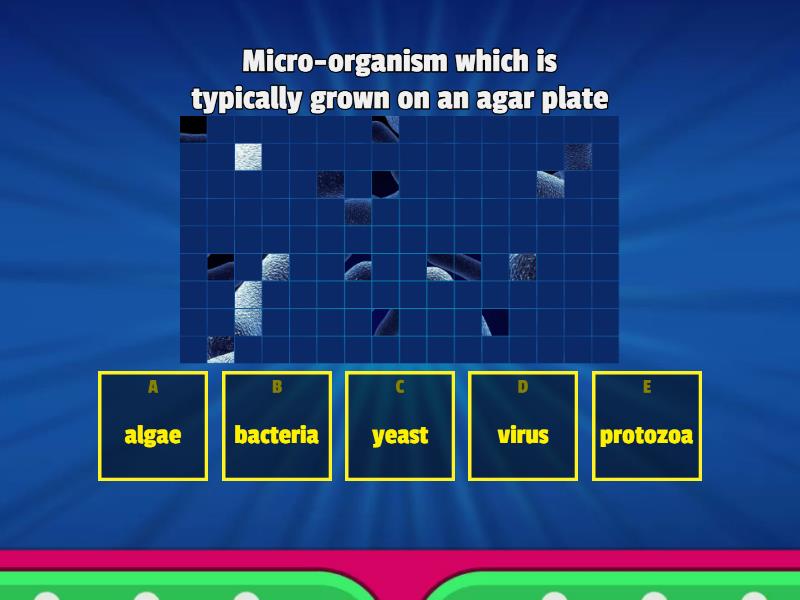 Microbes and their uses - Image quiz