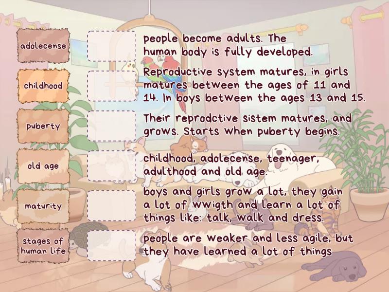 Life stages - Match up